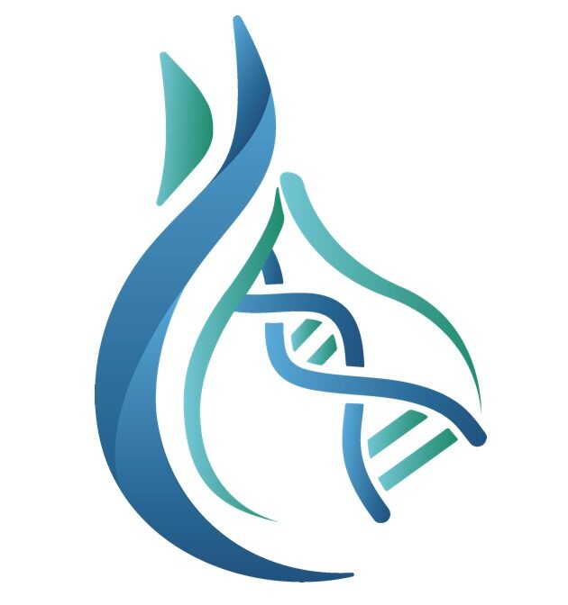 Reconnection Belgium – Reconnexion-Reconnectie-Reconnective Healing